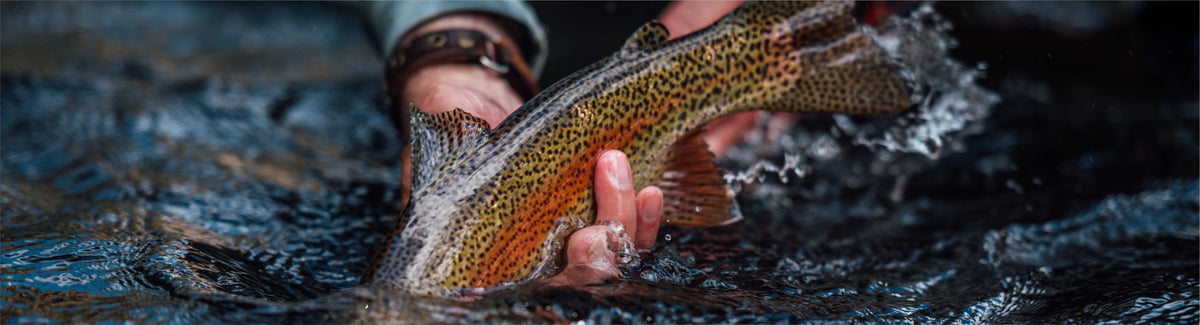Dynamic Lures